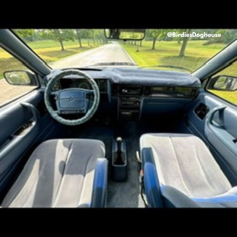 Ultimate Pet Minivan: DIY Remodel For Dogs & Cat RARE Vintage VAN (1993 ...